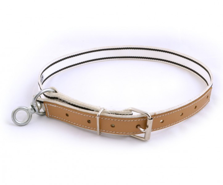 Collier vache - Licol-Collier - Elevage - Bovin / Equin - Ets Schlumberger