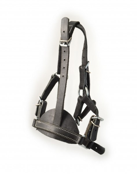 Licol cuir jeune veau - Longe et Licol - Produits Concours - Bovin ...