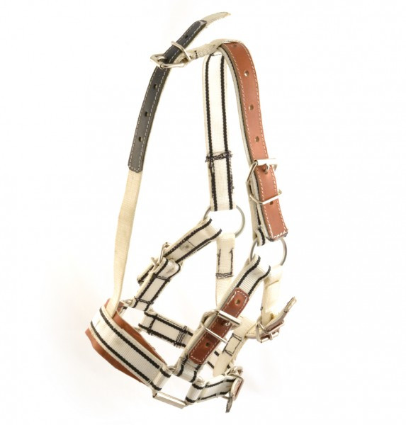 Licol dressage - Longe et Licol - Produits Concours - Bovin / Equin ...